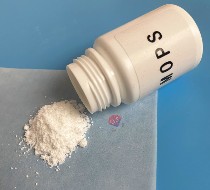 The role of biological buffer MOPS in electrophoretic analysis