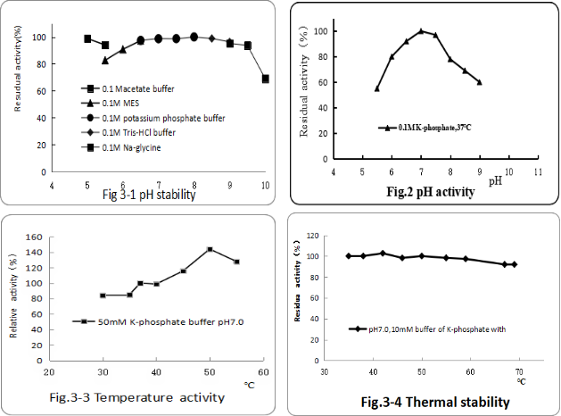 ADA Adenosine Deaminase Enzyme From Microorganism CAS No 9026-93-1